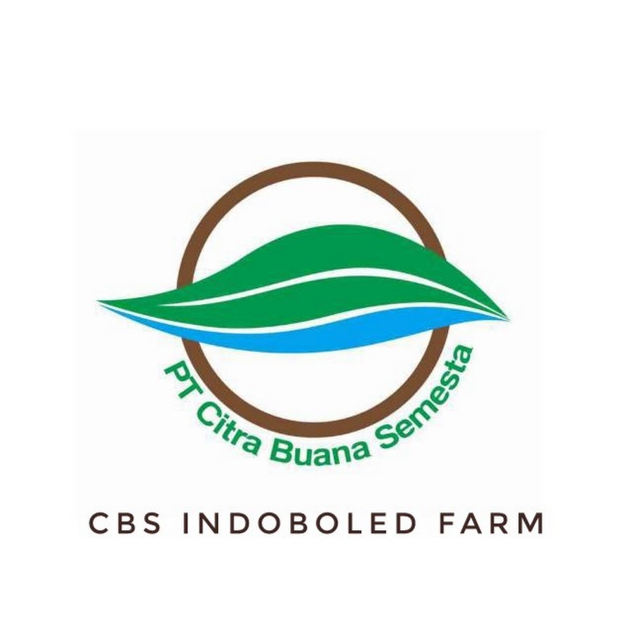 AL5GRJUtGvVShNkvTXm8NvWpspQZaSA53GsY_mOzO2JjdQ=s900-c-k-c0x00ffffff-no-rj