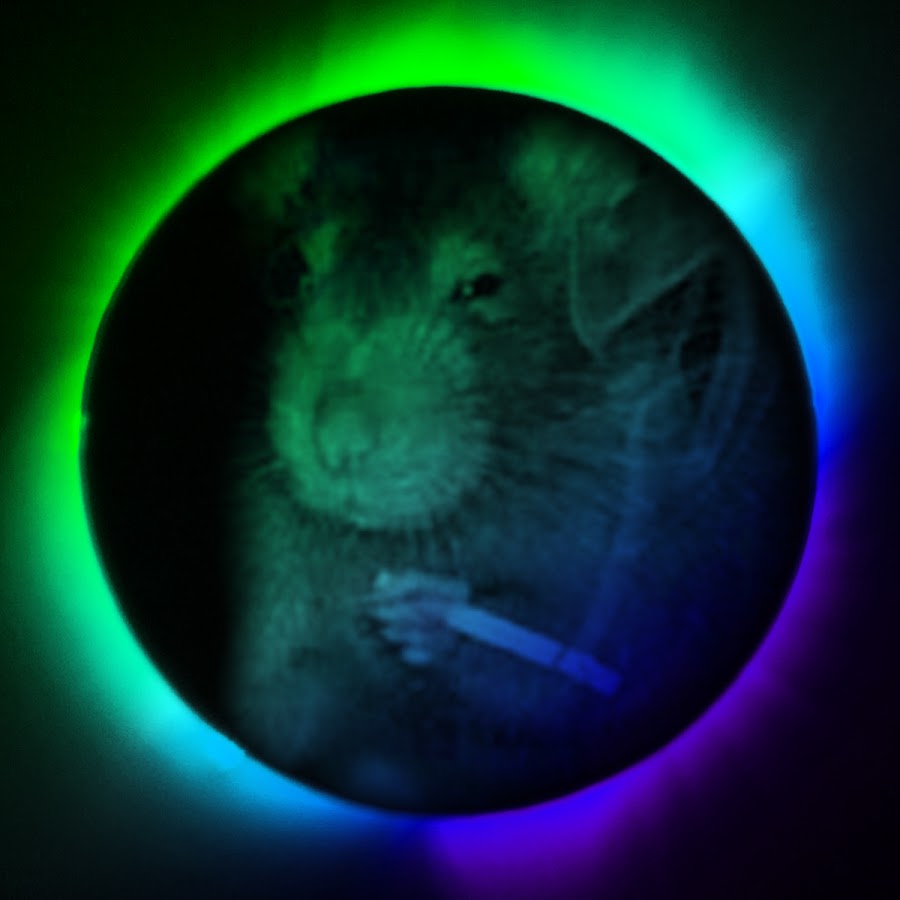 AL5GRJVKen6CnYdxQ7mO2uvmS5i0bsblMLDrtXG6dFlS=s900-c-k-c0x00ffffff-no-rj