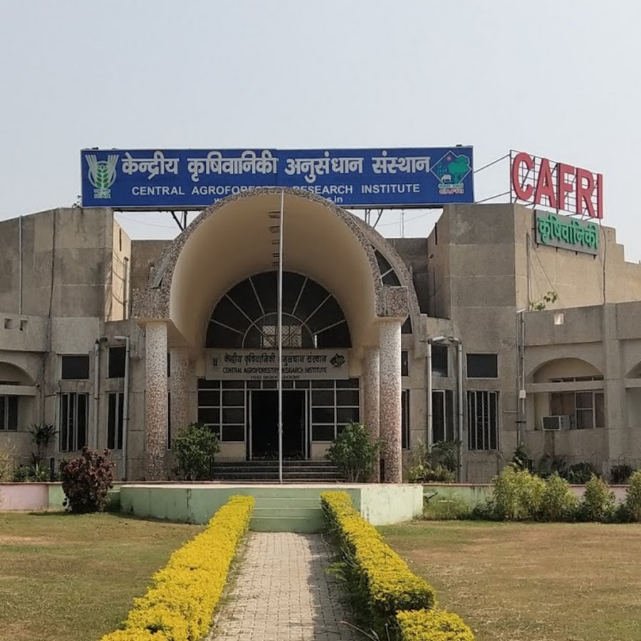 AMLnZu8NBZAzrnFBiMvsVUhPBY0-L0TI7PefEBzTC531=s900-c-k-c0x00ffffff-no-rj