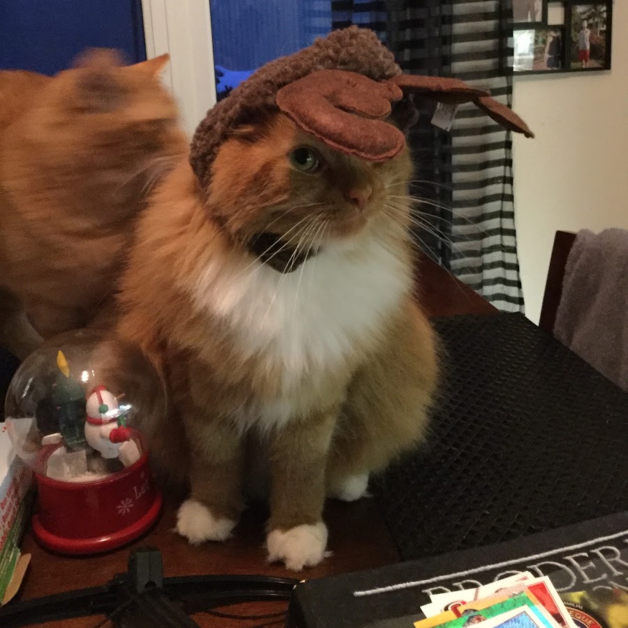 AOPolaQx7kPLFrBSYWDxQW4u71ioKmVQXRTIdfsO2aWT=s900-c-k-c0x00ffffff-no-rj