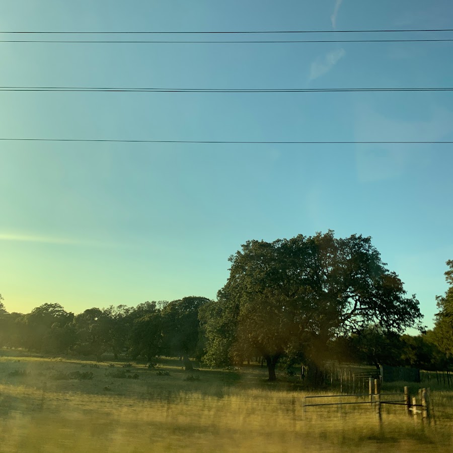 AOPolaRh3InrtyG5zg4jQlCWCkG_xi2eR3Em3QlBgHFPiQ=s900-c-k-c0x00ffffff-no-rj