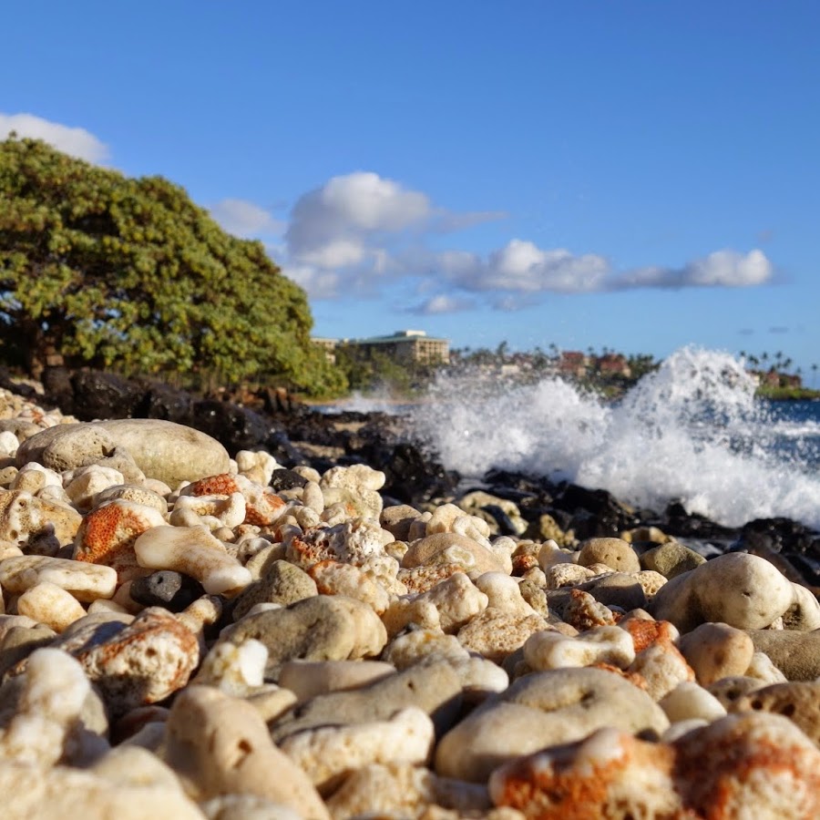 AOPolaRlWFF4bWEjdrJ24-R8BO54fEZcbnSOgwY8ZSNK=s900-c-k-c0x00ffffff-no-rj