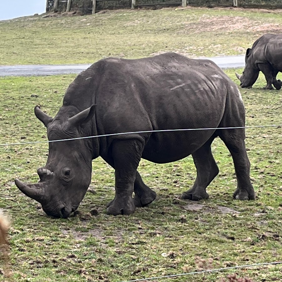 AOPolaRsWDNdtZO4nc-R_1m0JoLUiKEYwtK5GrJneFgI=s900-c-k-c0x00ffffff-no-rj