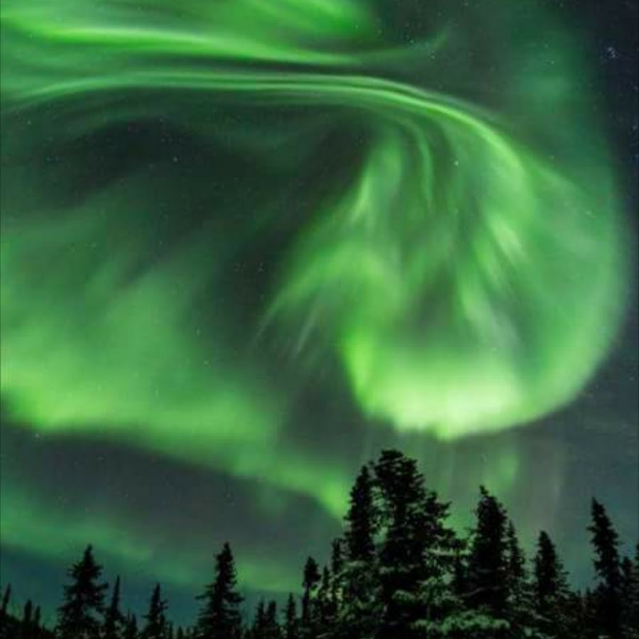 AOPolaSvDPCVE4LSKfrwp2fbXRcU3Nof9AppiyFckdJoxA=s900-c-k-c0x00ffffff-no-rj