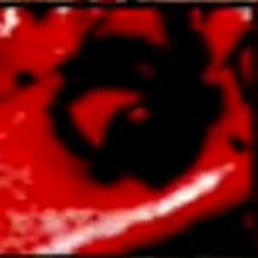 APkrFKYQ30vz67Ec2DZSW9aFzqglQC9O05MHBQvGaO2_=s900-c-k-c0x00ffffff-no-rj