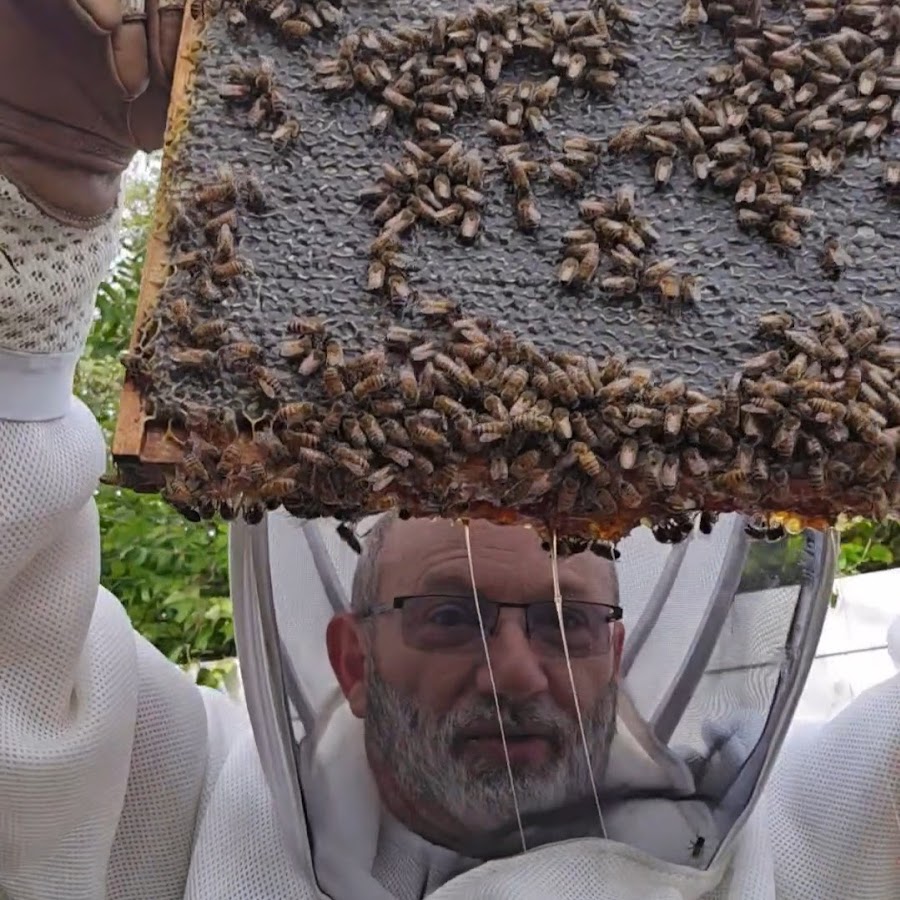 APkrFKZJCcWsOhfSNeOIcc9wHKPZmE-A0klQCV6tHJPtXW8=s900-c-k-c0x00ffffff-no-rj