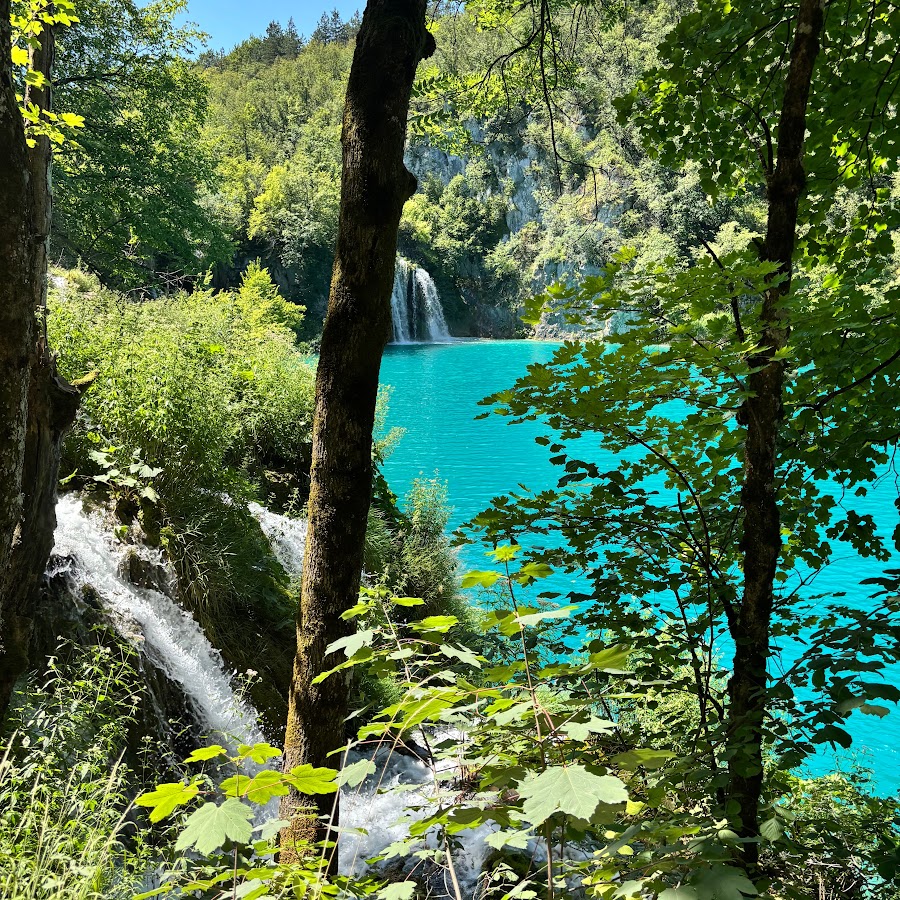 APkrFKZJsNBFsYRG4D_IQKsSbnUB4dFcoVyBOVT0vrDm=s900-c-k-c0x00ffffff-no-rj