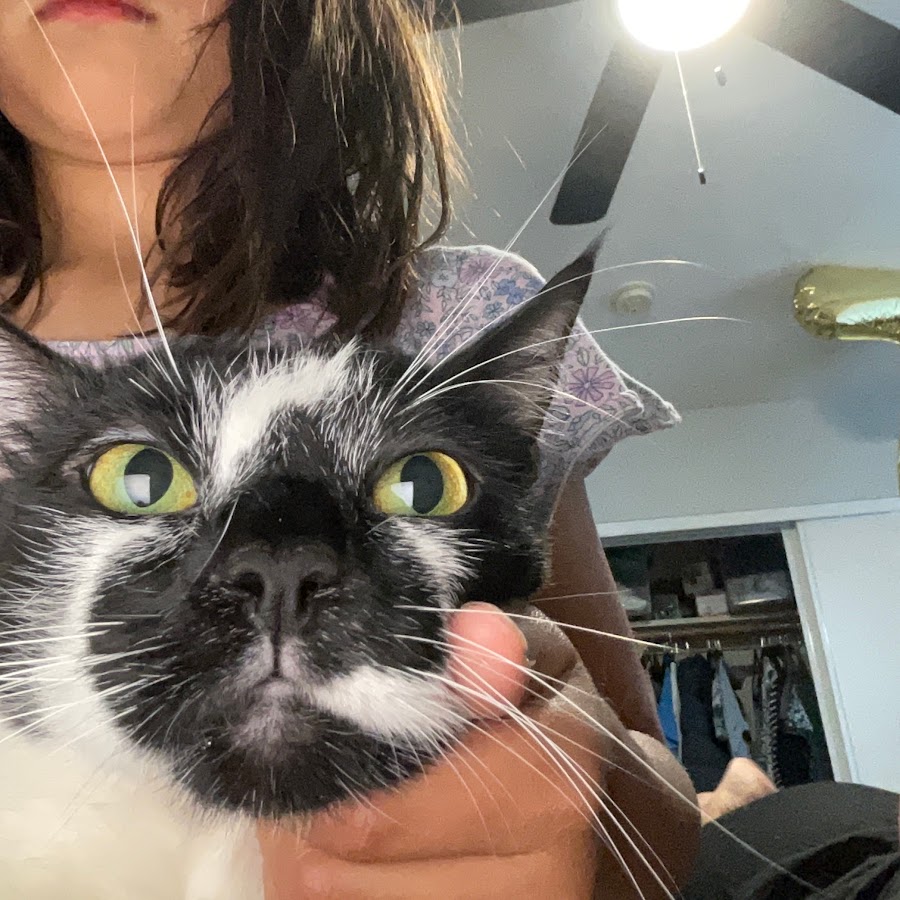 Apkrfkasxt7mfqouhn7cskllhczklgc5 0o8ywhzuno2zq S900 C K C0x00ffffff No Rj